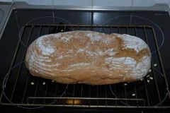 Frisches Brot: richtig einfrieren und immer vor dem Genuss toasten