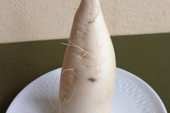 Rettich-Radieschen-Salat - erfrischend & lecker - Rezept | Frag Mutti